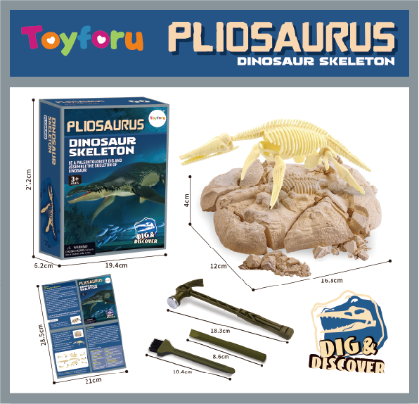 Cross border discovery dig toys study dinosaur family assembly of skeletons