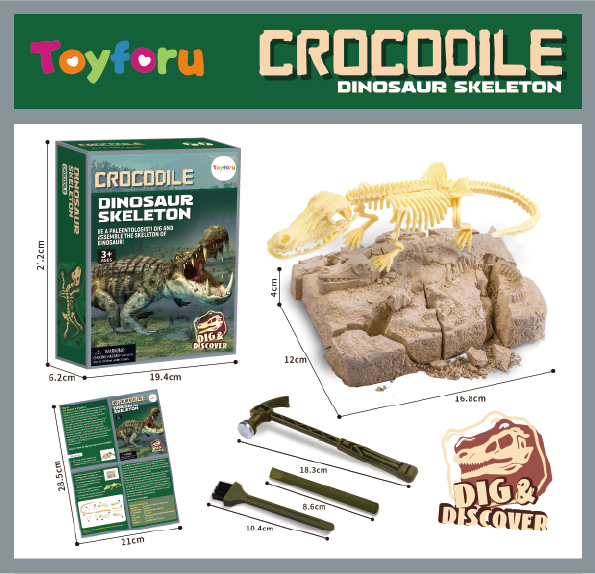Cross border discovery dig toys study dinosaur family assembly of skeletons