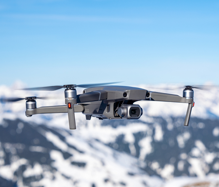 Discover the Beauty of Flight