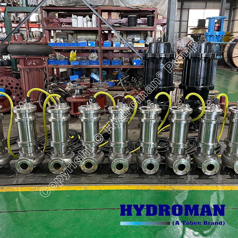 Stainless Steel Submersible Water Pump with Hydroman Electric Motor