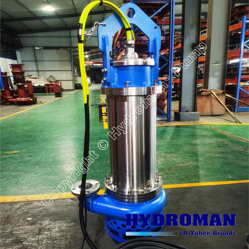 Electric Submersible Agitator Sand Pump in 304 Stainless Steel SS for ...