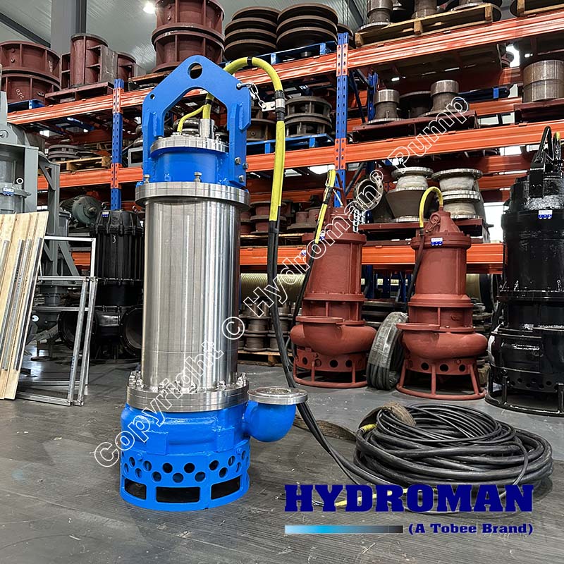 Electric Driven Submersible Sand Slurry Pump in Stainless Steel