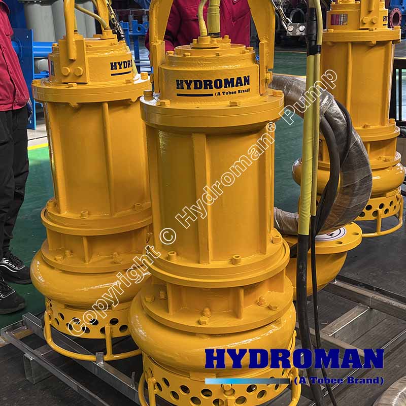 Electric Submersible Slurry Pump to Remove the Sludge from the Bottom ...