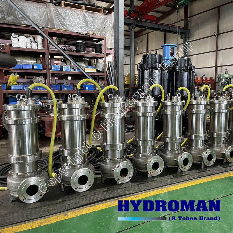 Stainless Steel Submersible Water Pump with Hydroman Electric Motor