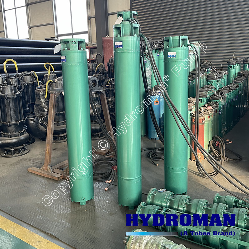 Electric Deep Well Submersible Pump for Village Water Projects in Kenya