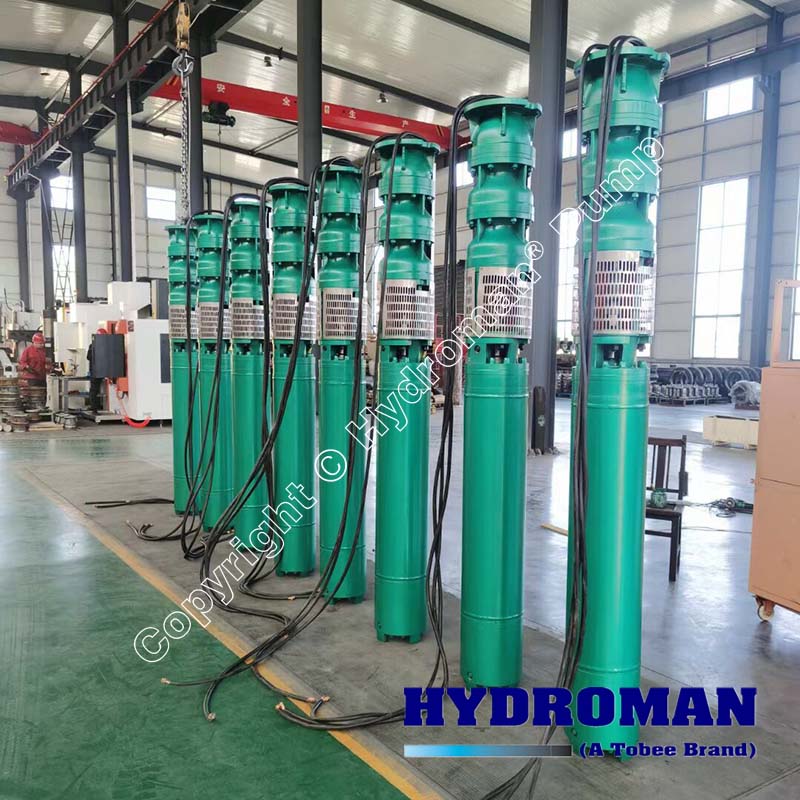 Electric Driven 250mm Submersibe Water Lifting Pumps for Municipal ...