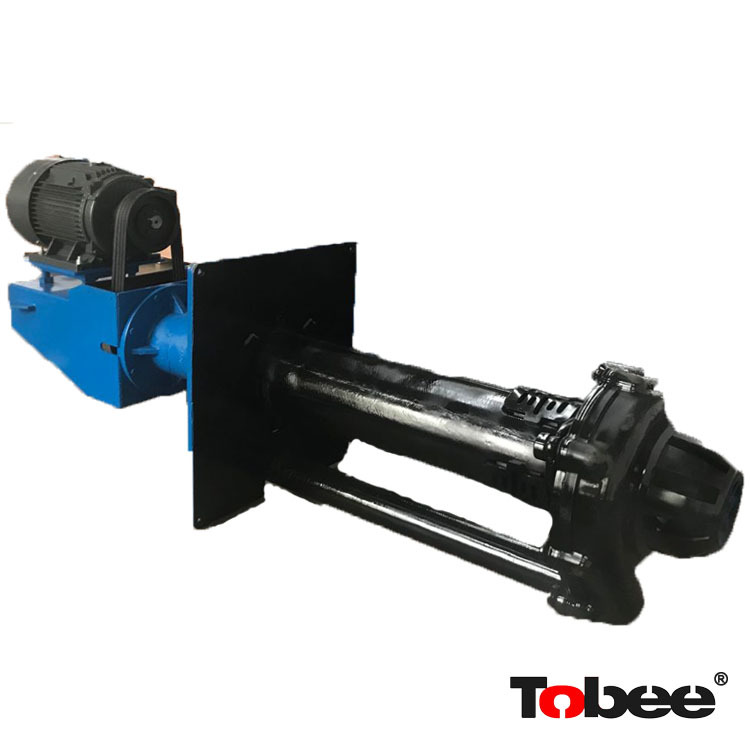 EPDM 100RV-SPR Vertical Sump Pump to Zambia