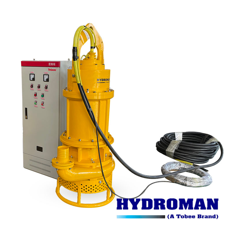 Submersible Slurry Pump for Removing Organic silt with Electric Cabinet