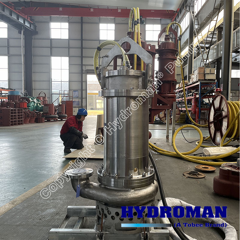 Submersible Sand Slurry Pump with Stainless Steel Material for ...